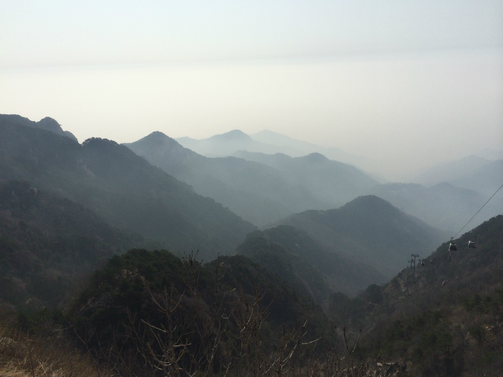 向日葵設計 Himawari Design