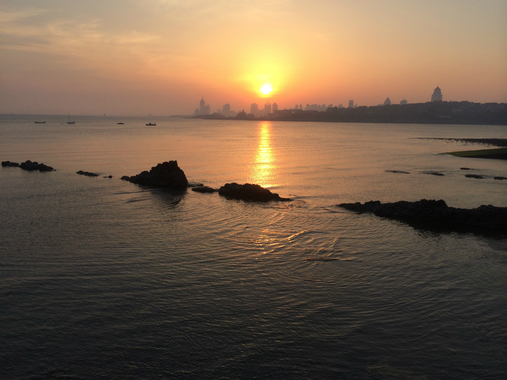 向日葵設計 Himawari Design